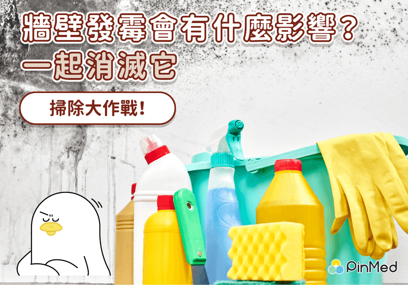 家裡潮濕、牆壁發霉怎麼辦？解決辦法看這篇！7招預防生病 - PinMed